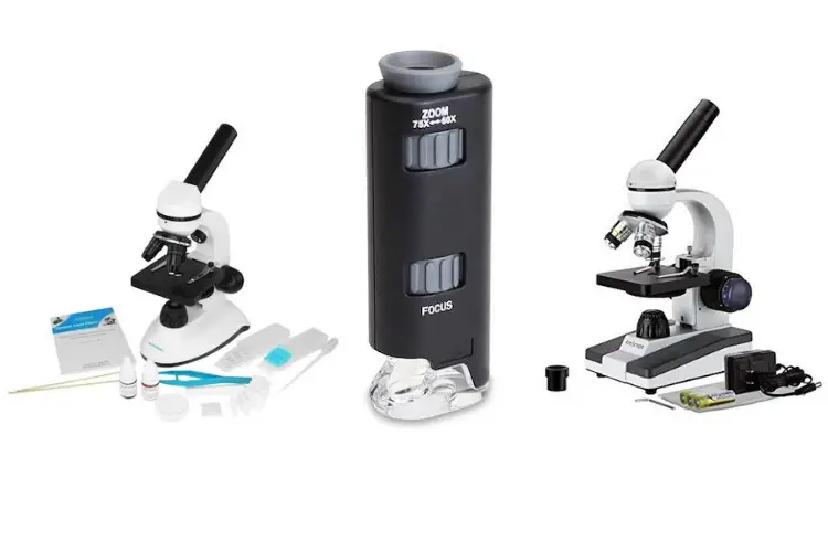 Top 10 Best Microscopes Reviewed in 2021 - Happy Body Formula